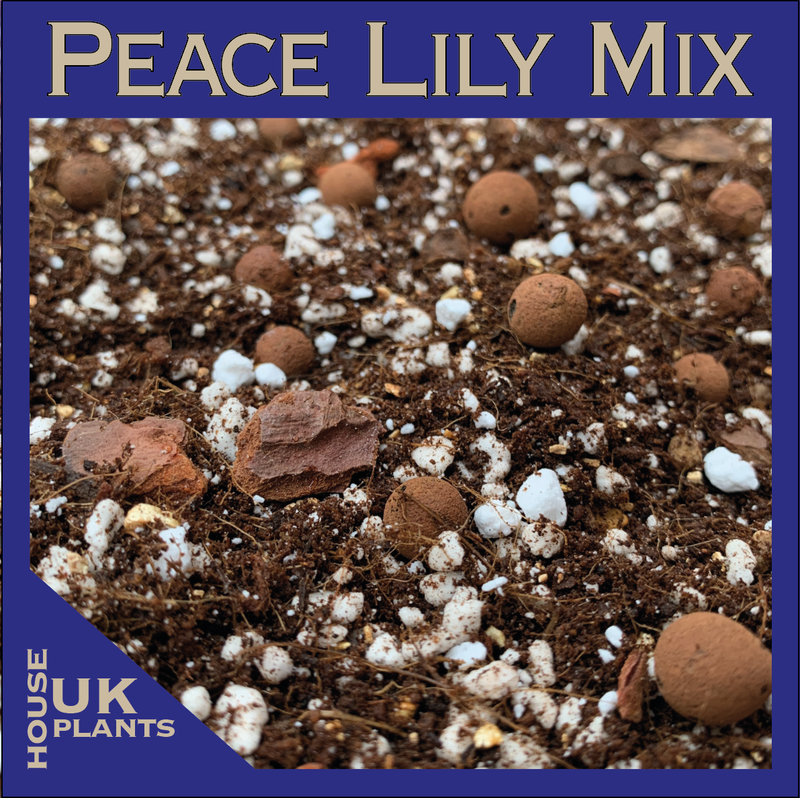 Plant-Specific Mixes for Keen Growers - ukhouseplants