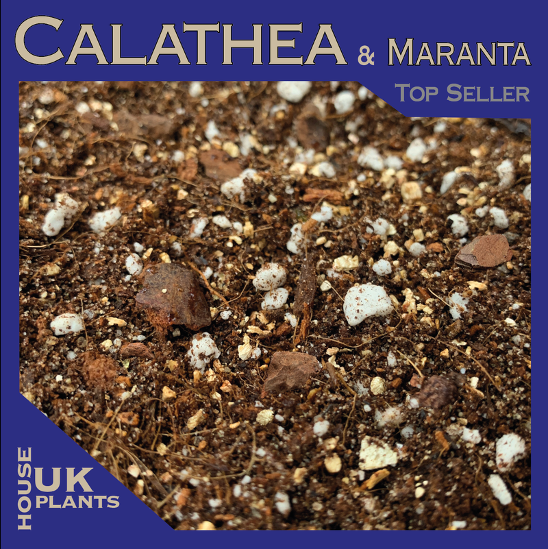 Plant-Specific Mixes for Keen Growers - ukhouseplants