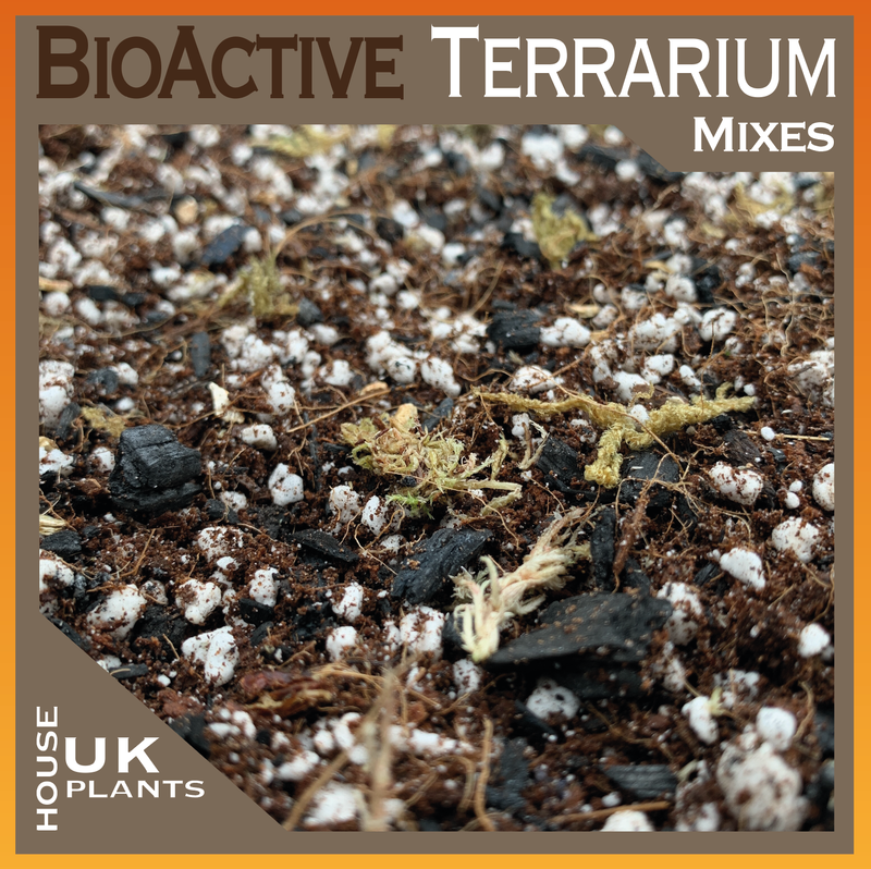 Multipurpose Mixes for Casual Growers - ukhouseplants