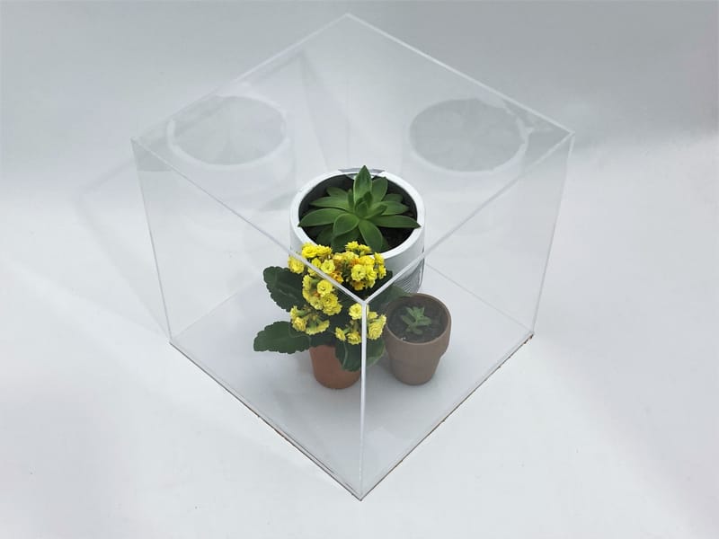 Acrylic Display Boxes With White Bases - MuseumBoxes