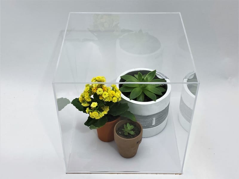 Acrylic Display Boxes With White Bases - MuseumBoxes