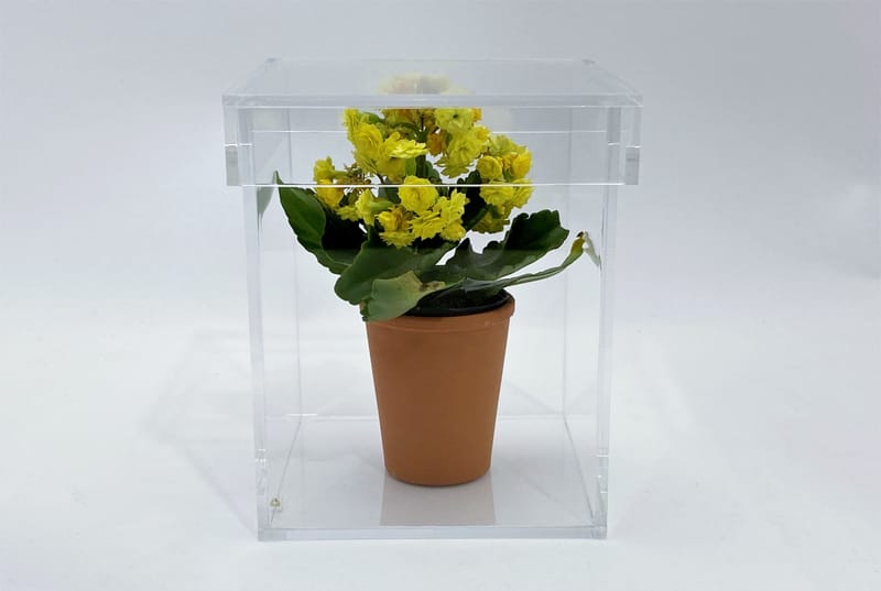 Making the Most of Your Display! - MuseumBoxes