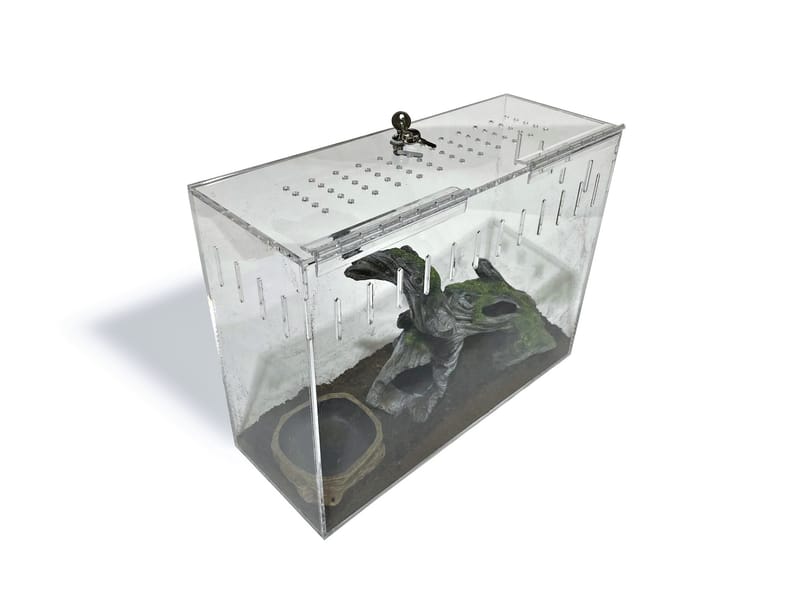 Acrylic Animal Enclosures and Cages - MuseumBoxes