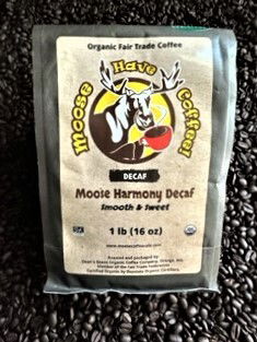 Moose Coffee Cafe