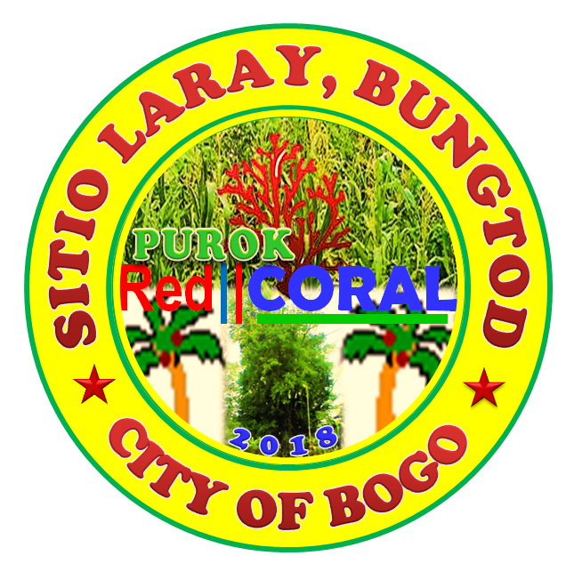 Purok News - Discover Purok Red Coral!