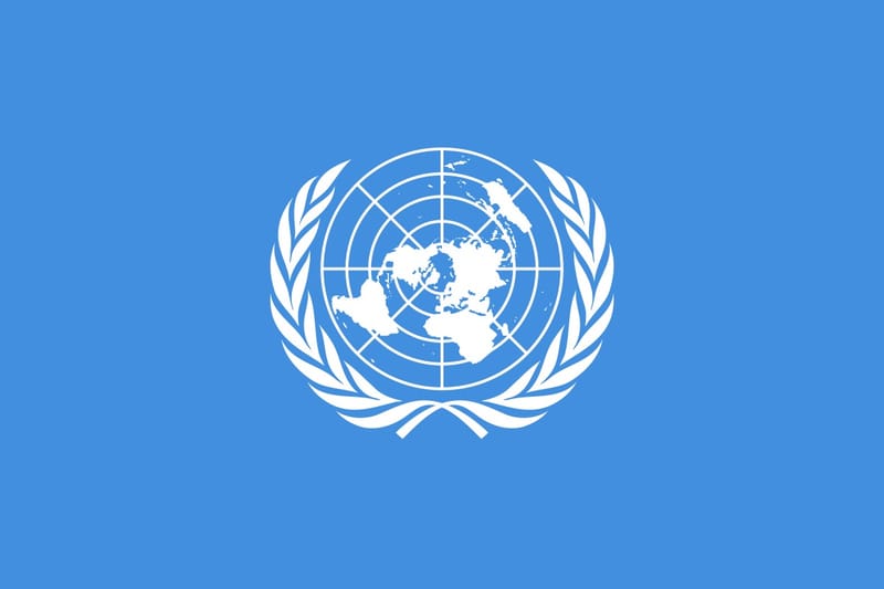 Why the UN was Formed - The United Nations