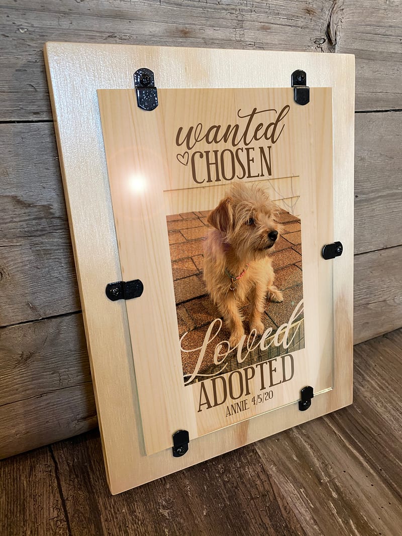 Pet Adoption Plaques | White Schoolhouse Decor