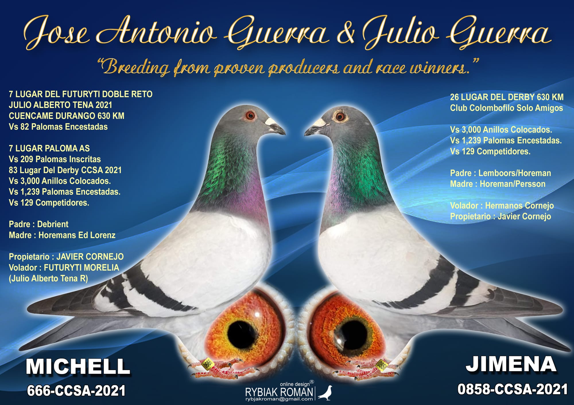 DESIGN PIGEONS PHOTO - DESIGN PIGEON PHOTOS