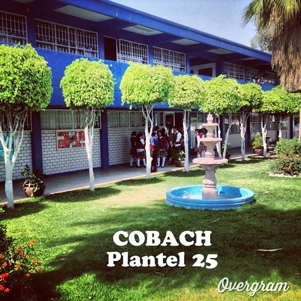CAPACITACIÓN INFORMÁTICA - Colegio de Bachilleres Plantel 25