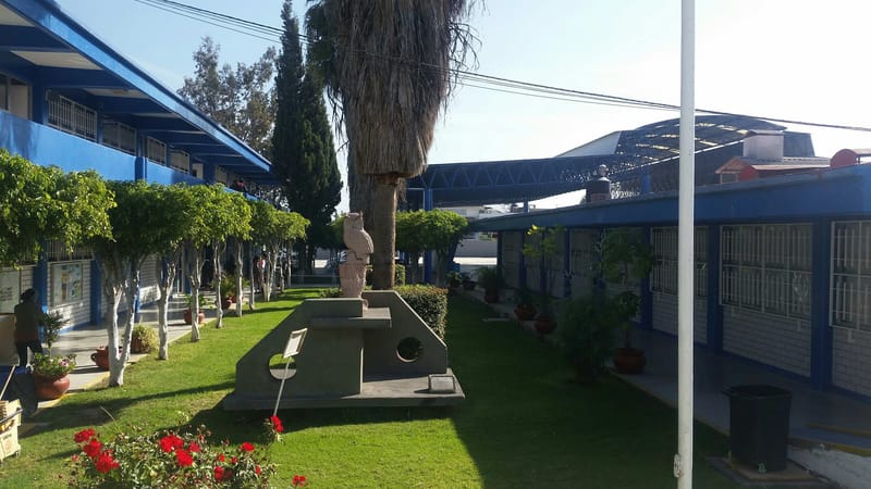 Plan de estudios - Cobach 25