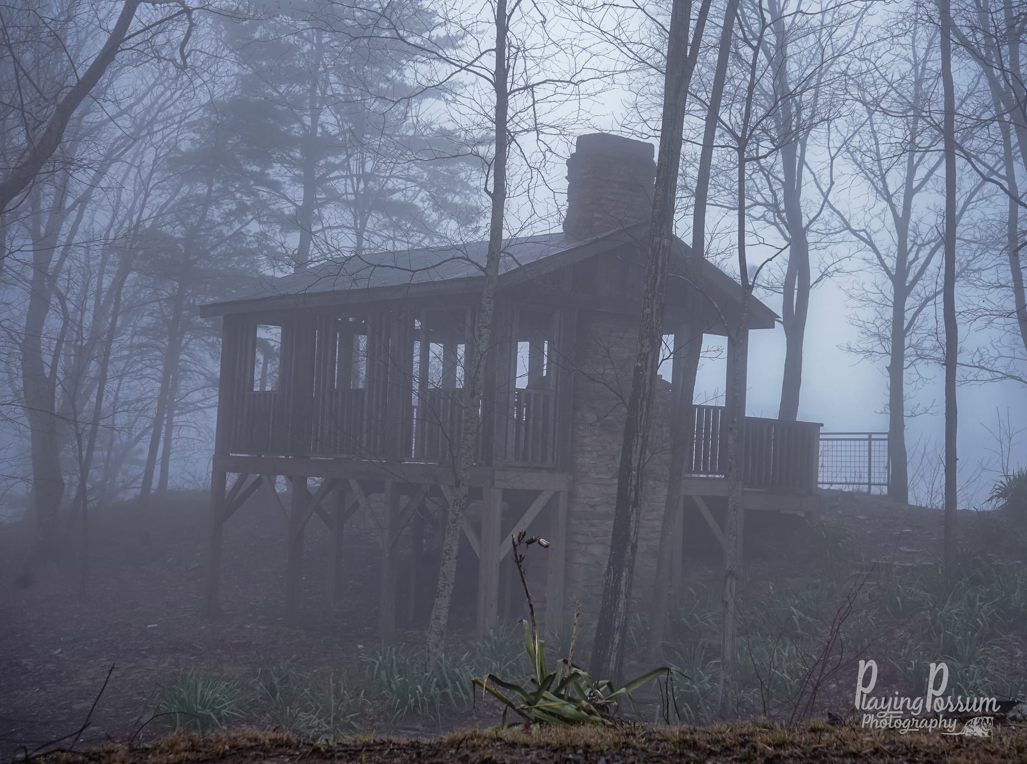 Nature - Seven North