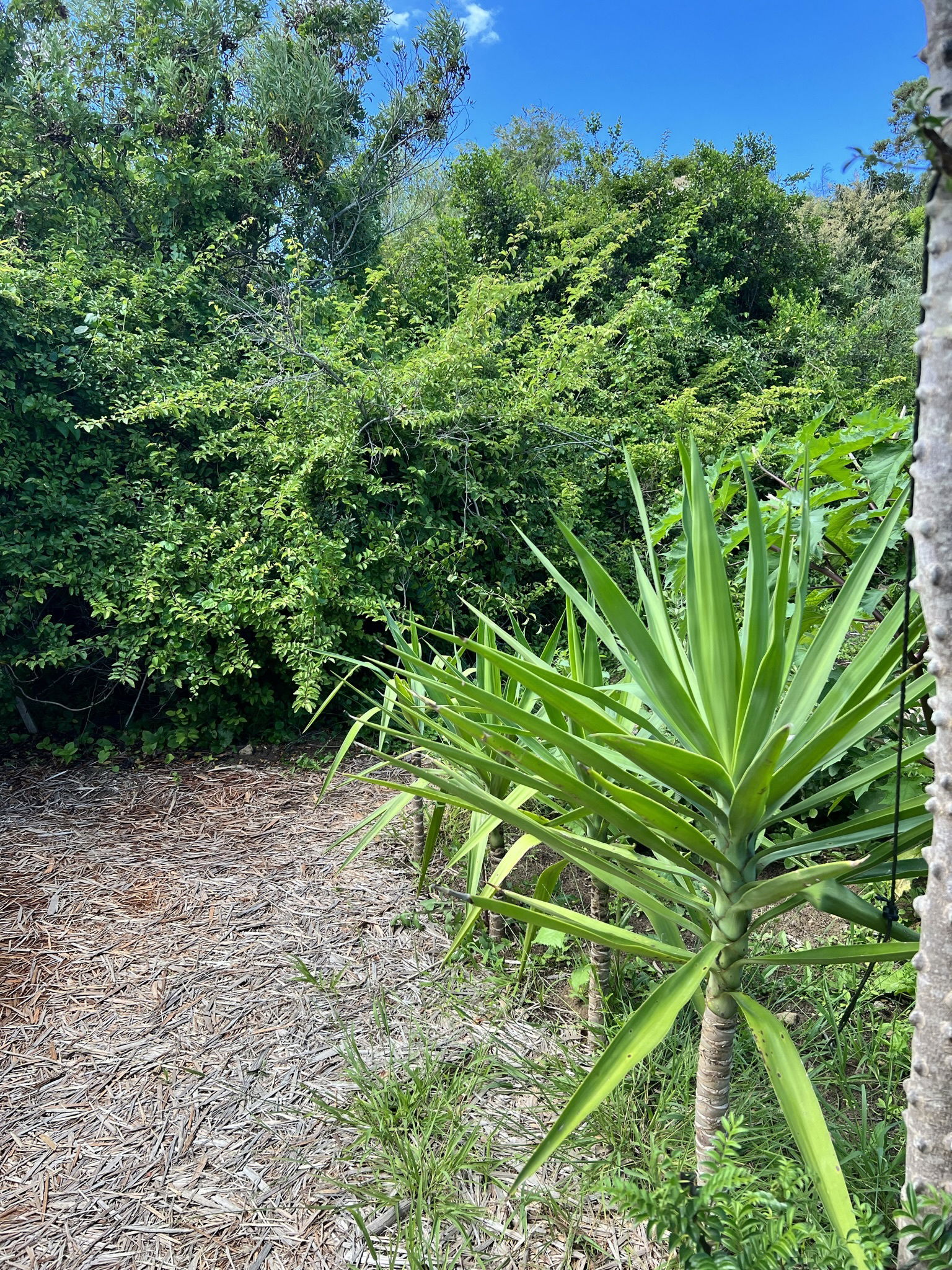 Vila Keys, Accommodation in Wilderness, Garden Route, Wilderness