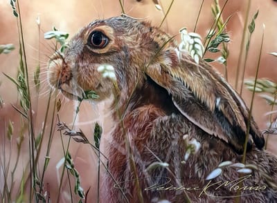 Portraits by Debbie K Morris