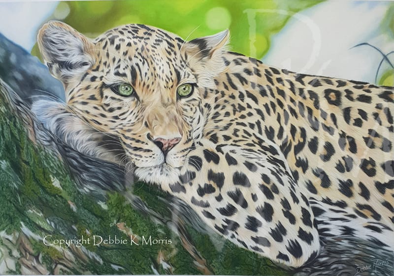 UK based Artist of hyperrealism wildlife pets and people commissions