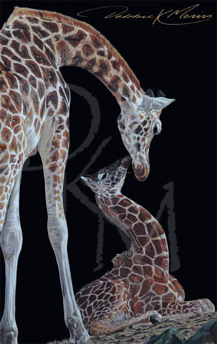 UK based Artist of hyperrealism wildlife pets and people commissions