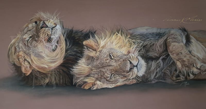 UK based Artist of hyperrealism wildlife pets and people commissions