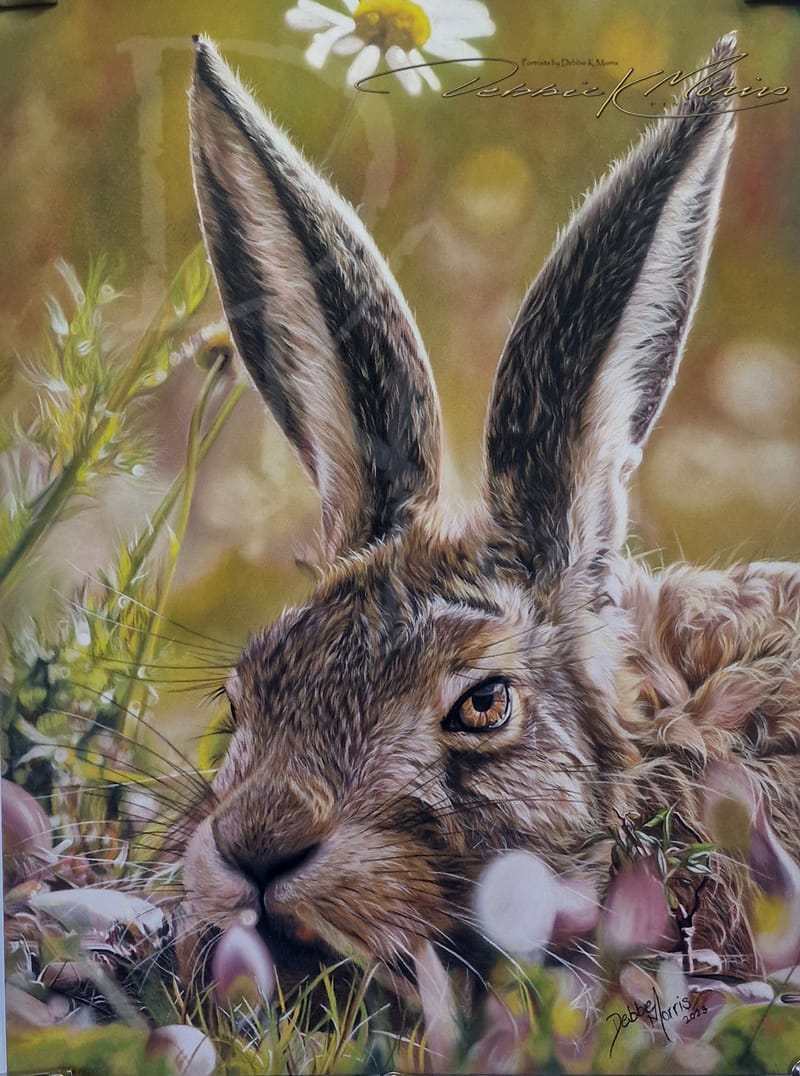 UK based Artist of hyperrealism wildlife pets and people commissions