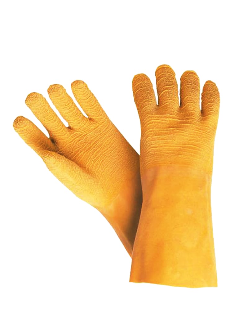 YELLOW COMAREX ROUGH PALM - BUCLER