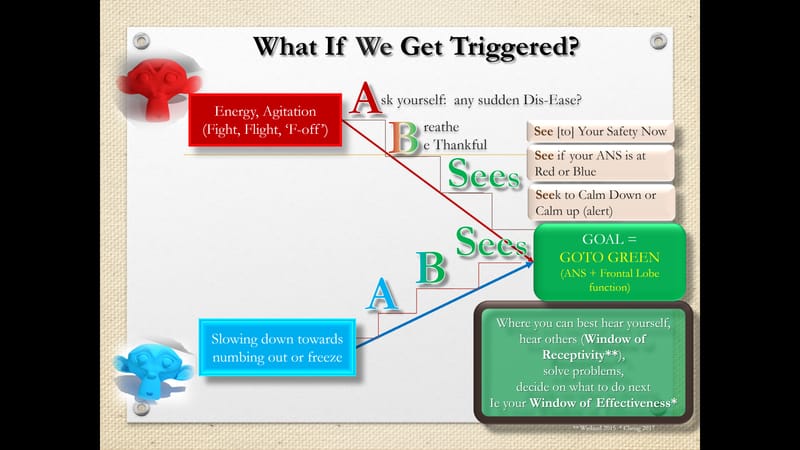 When we are triggered! - Beyond the Cycle of Trauma Institute