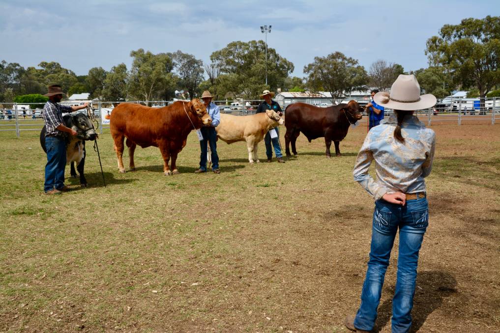 Merriwa Show - Merriwa Springtime Show