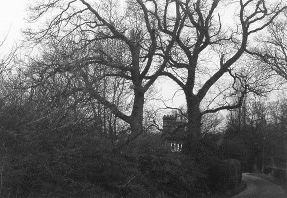 THE HISTORY OF "WICKENDEN" - Wickenden Family Memoirs