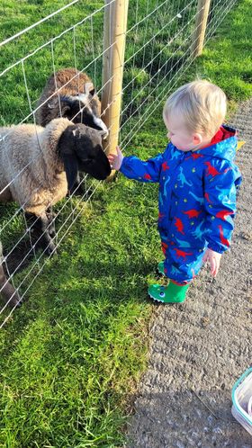 Animals and Activities - Fermanagh Fun Farm