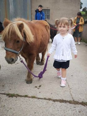Animals and Activities - Fermanagh Fun Farm