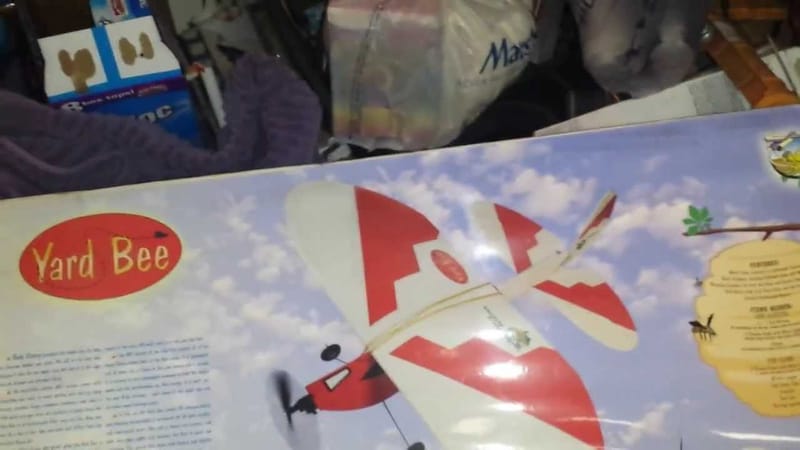 Andy Clancy Designs - 2021 Speedy Bee