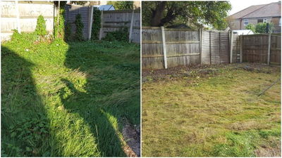 First Cut Gardening Services, North Wales