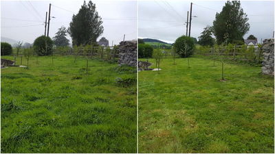 First Cut Gardening Services, North Wales