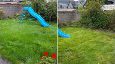 First Cut Gardening Services, North Wales