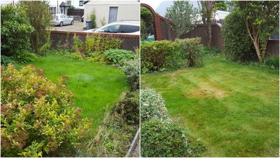 First Cut Gardening Services, North Wales
