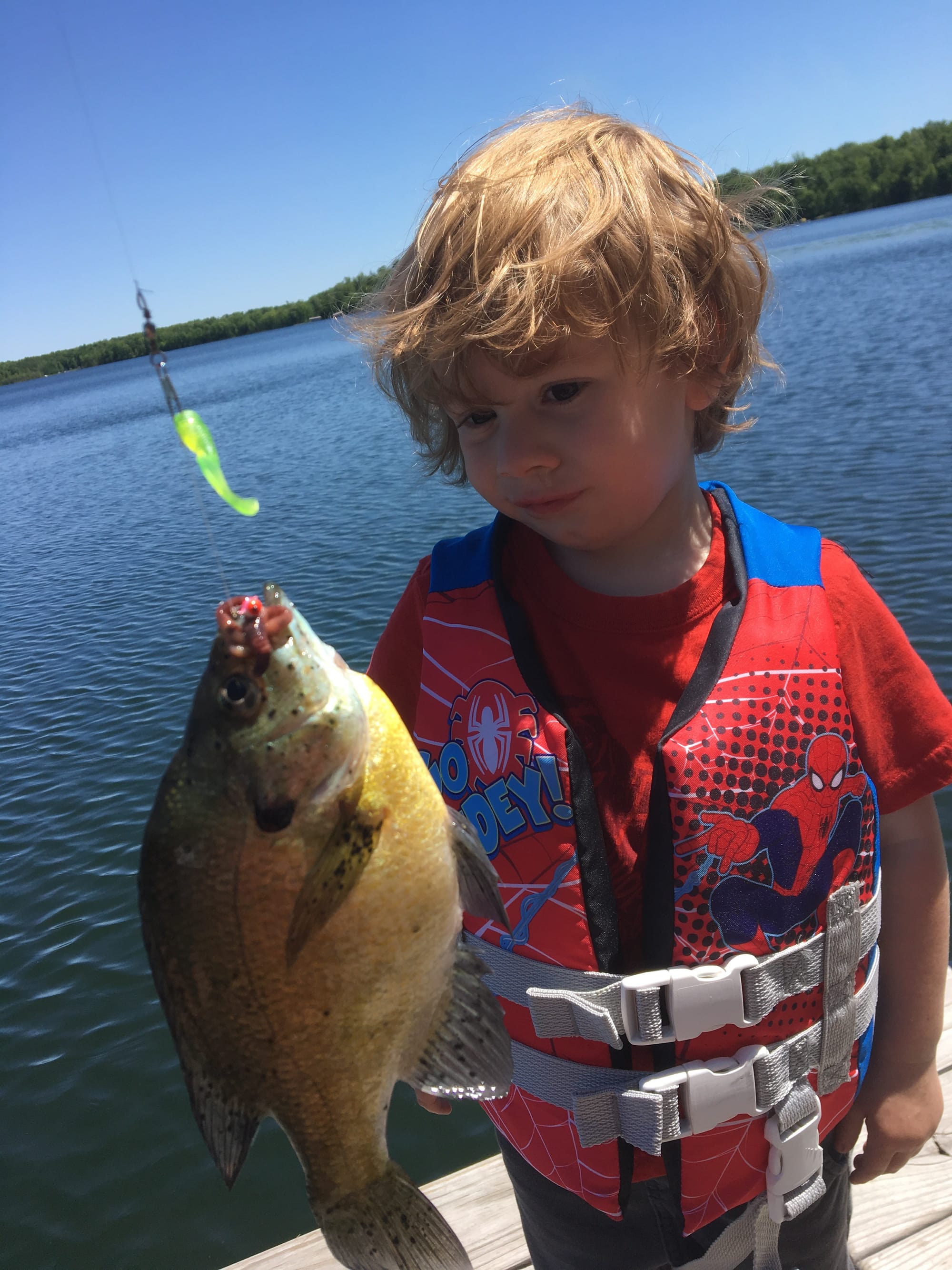 Adney Lake Association, Crow Wing County - Adney Lake Association Crow ...