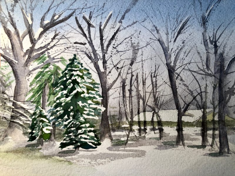 Sarah Scott Falk Artist