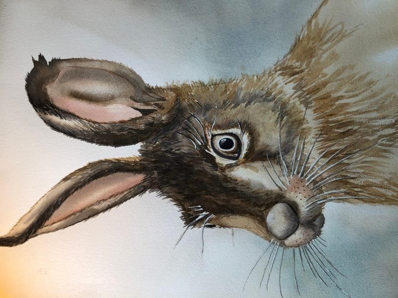 Sarah Scott Falk Artist