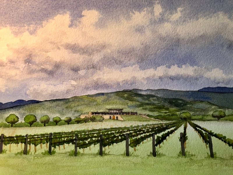 Sarah Scott Falk Artist