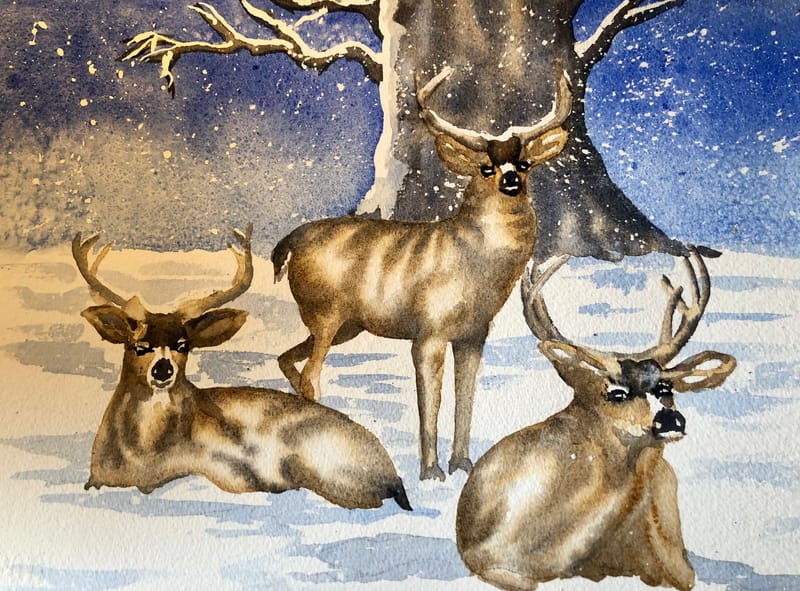 Sarah Scott Falk Artist