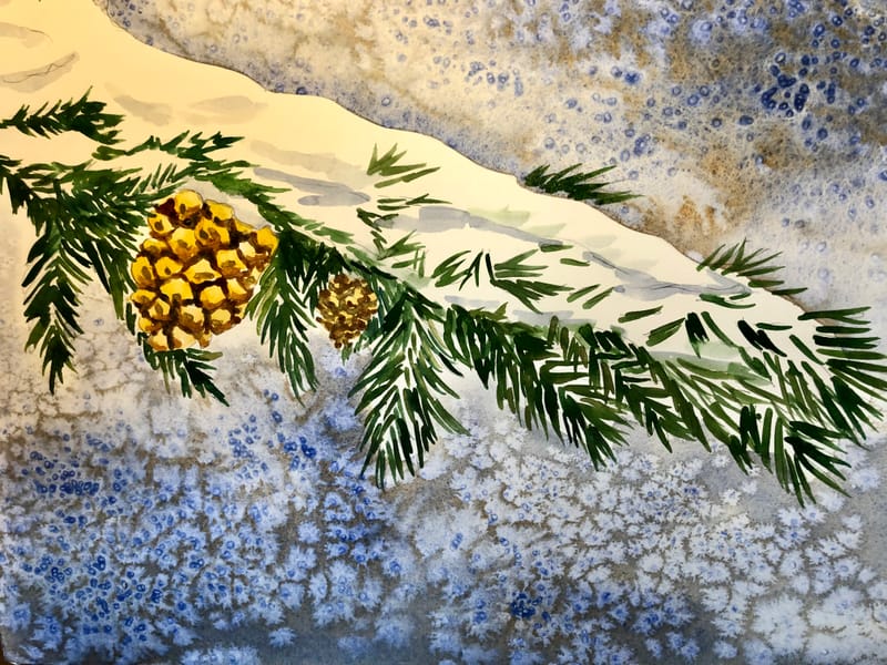 Sarah Scott Falk Artist