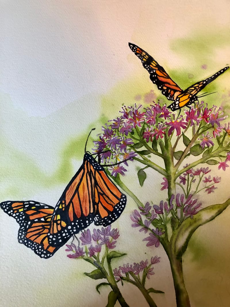 Sarah Scott Falk Artist