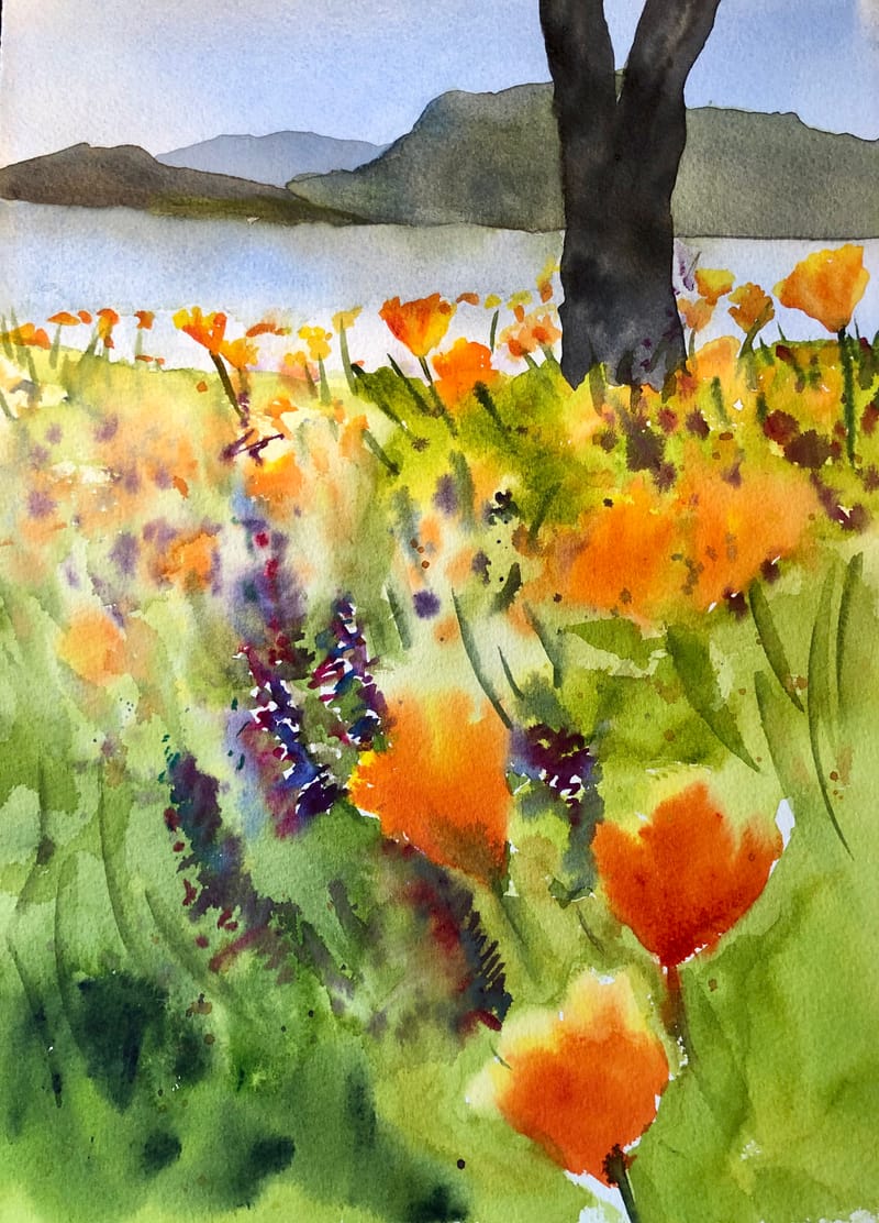 Sarah Scott Falk Artist