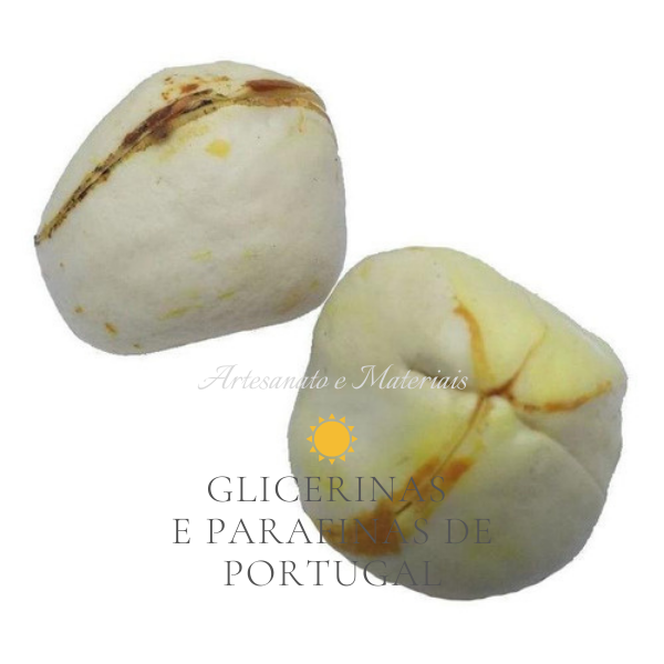 OBI - A fruta sagrada dos Orixás - Unidade