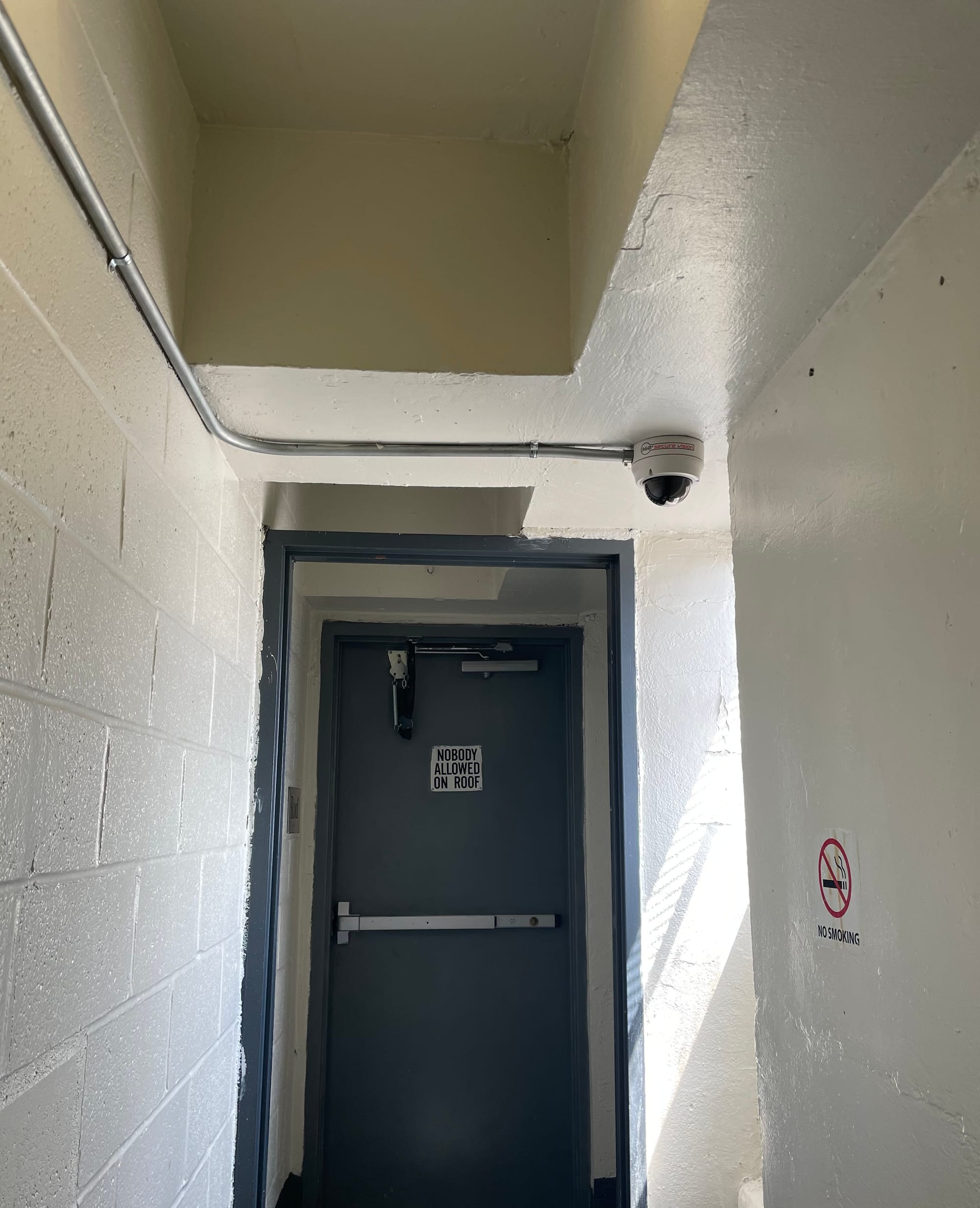 Professional Security Company