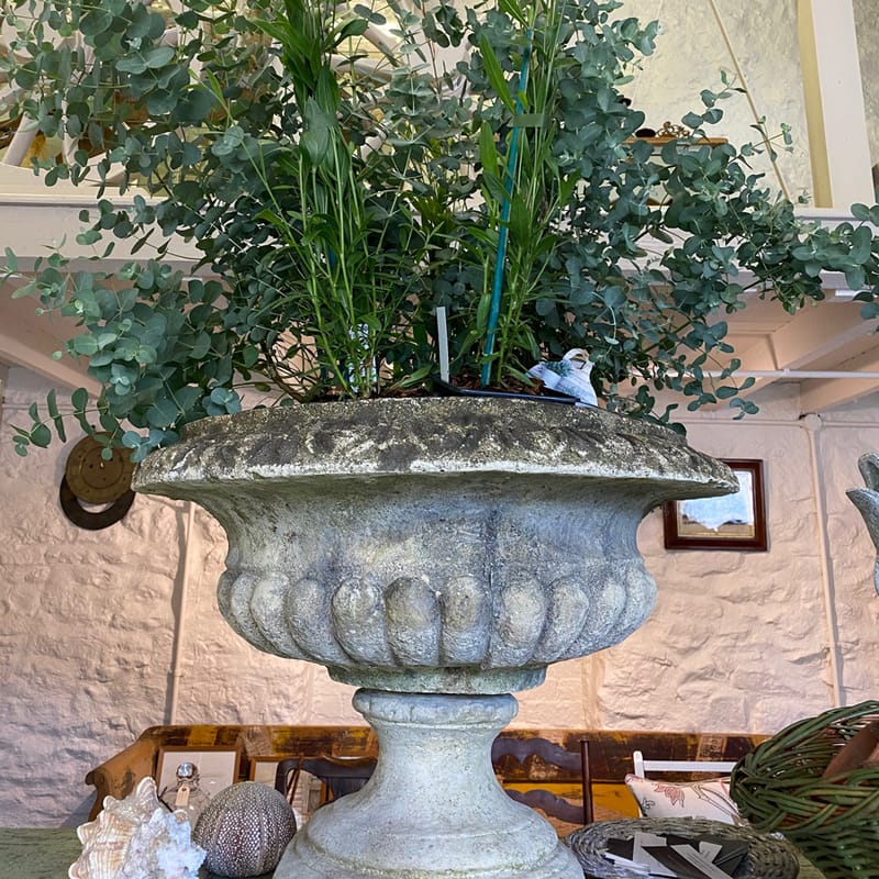 New Arrivals - THE IVY BARN