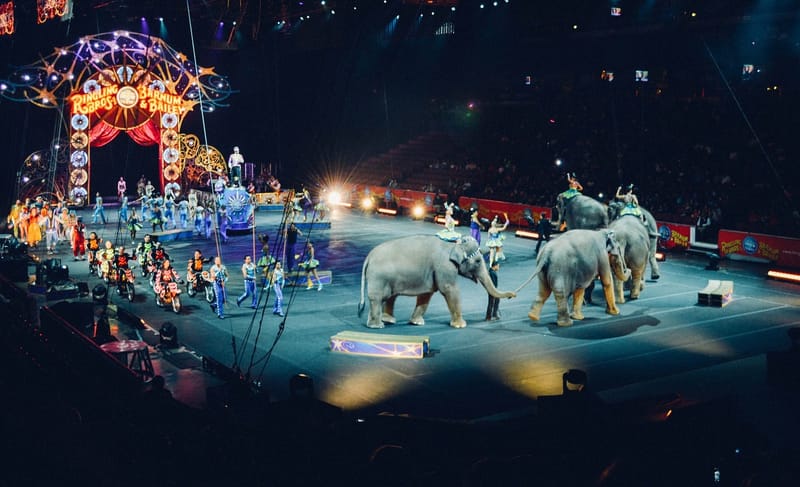 Future Concert Formats - Kingston U3A Singers