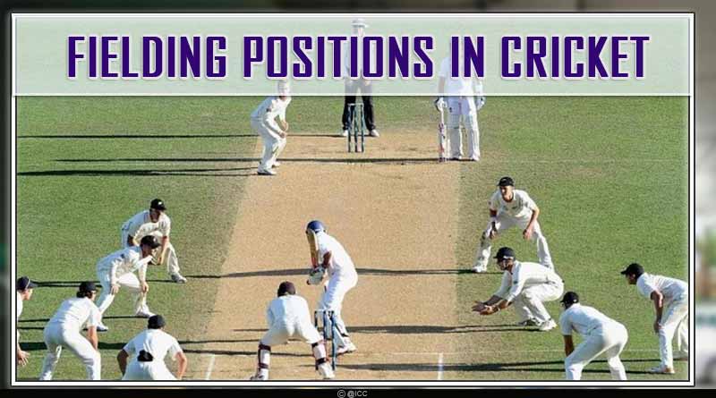Fielding Positions in Cricket with Diagram - SportzPrime