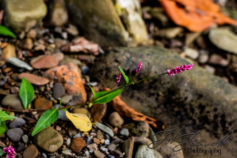 John Jarrell Photography | Northeast Ohio Photographer for Hire