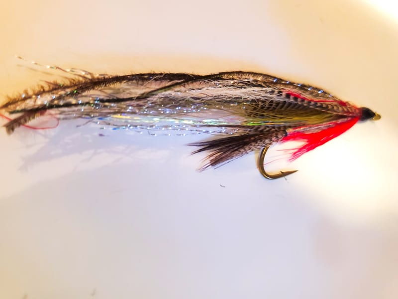 Montreal Whore - LAKESIDE FLIES