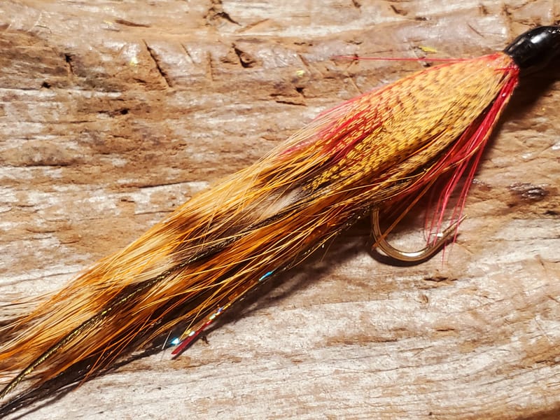 Golden Retriever - LAKESIDE FLIES