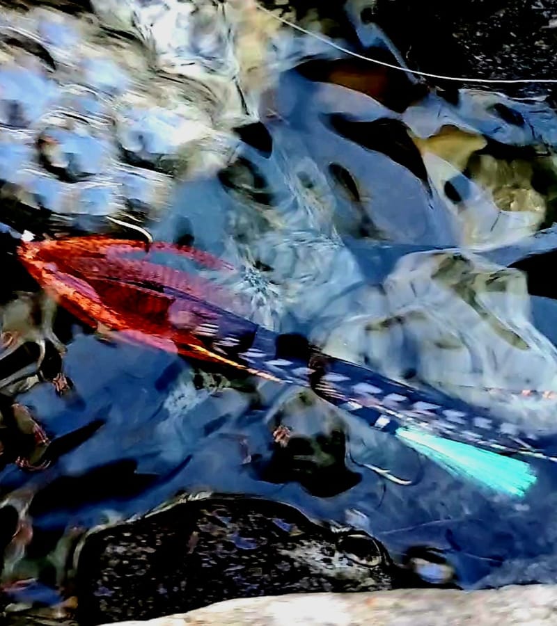 Tandem and Single Trolling Streamers - LAKESIDE FLIES