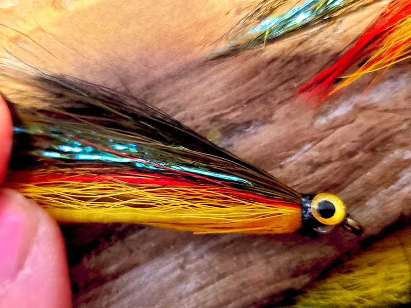 Northern Redbelly Dace - LAKESIDE FLIES